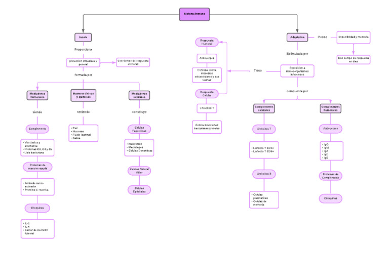 Mapa Sistema Inmune Innato vs Adquirido | PDF | Inmunidad humoral | Sistema inmune innato