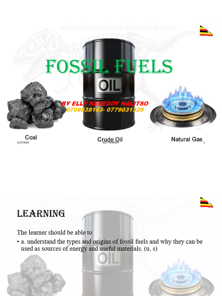Understanding Fossil Fuels and Their Types | PDF | Fuels | Natural Gas