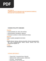 Layer Poultry Vaccination Schedule | PDF | Health Care | Diseases And ...