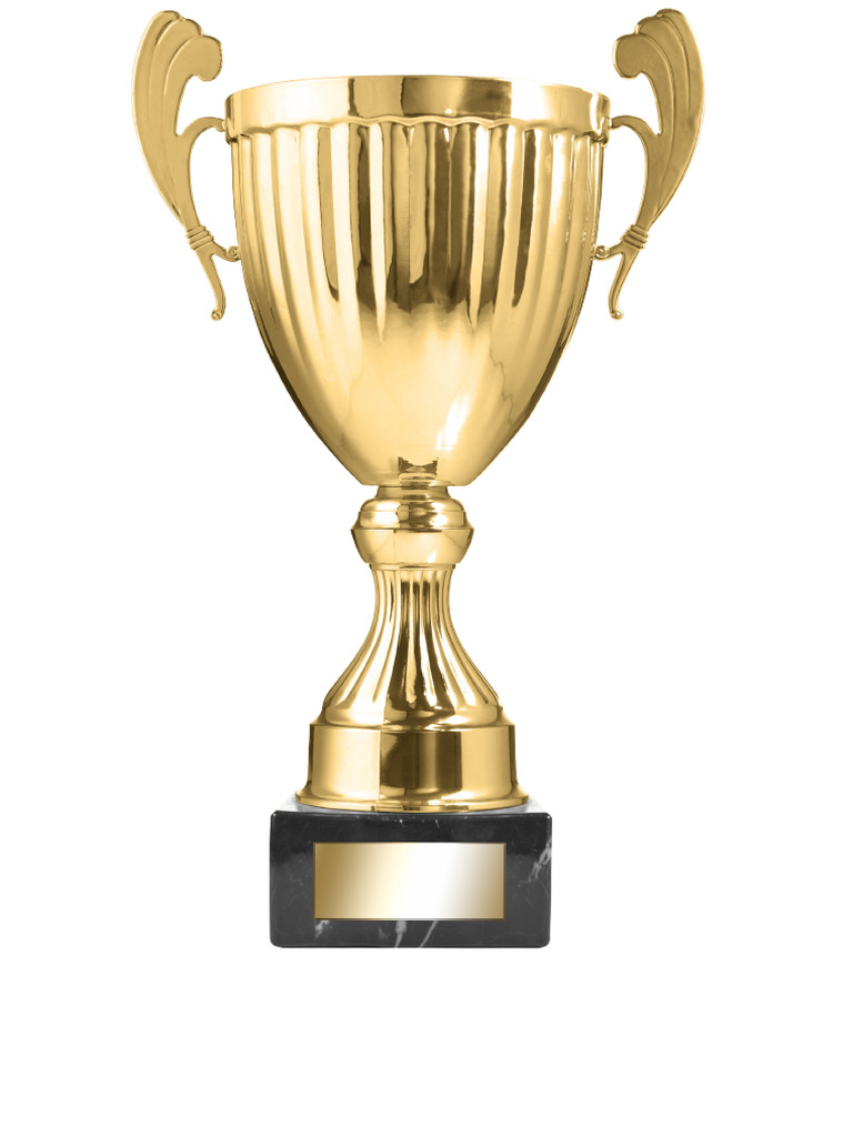 Interact Awards 20242025 | PDF