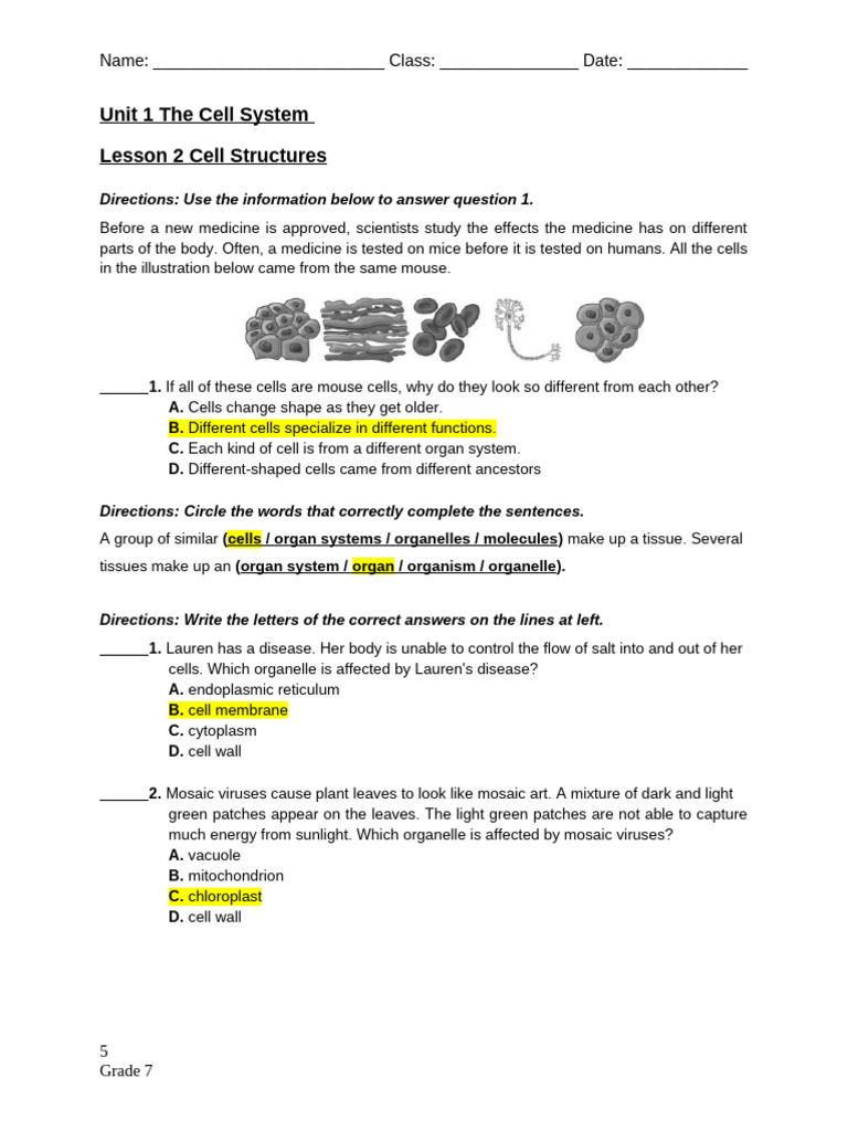 Unit 1 Lesson 2 Worksheets MA | PDF | Cell (Biology) | Endoplasmic ...