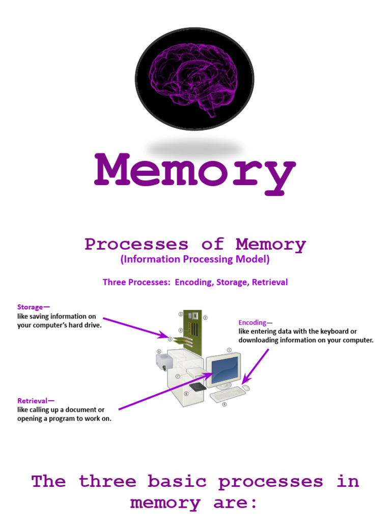 AB Memory - P | PDF | Memory | Long Term Memory