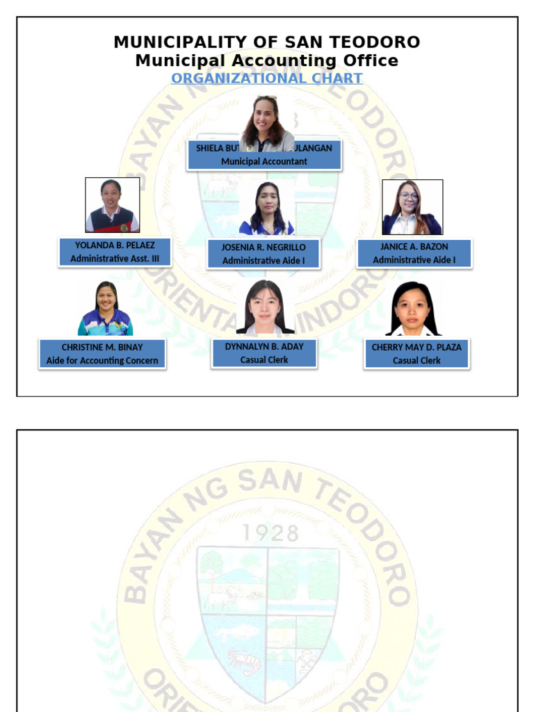 San Teodoro Municipal Accounting Chart | PDF