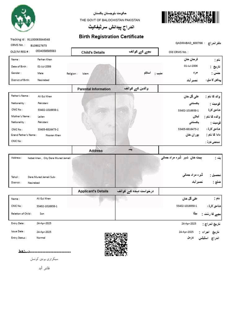 Birth Registration Certificate: Child's Details | PDF