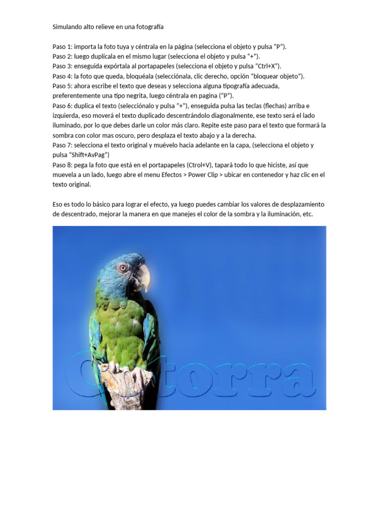 Efecto de Alto Relieve en Fotografía | PDF