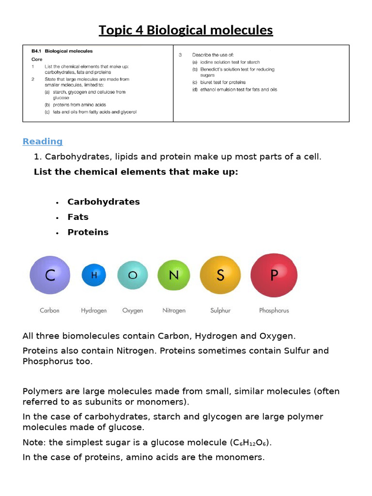 0654 Topic 4 Biological Molecules | PDF | Biomolecules | Lipid