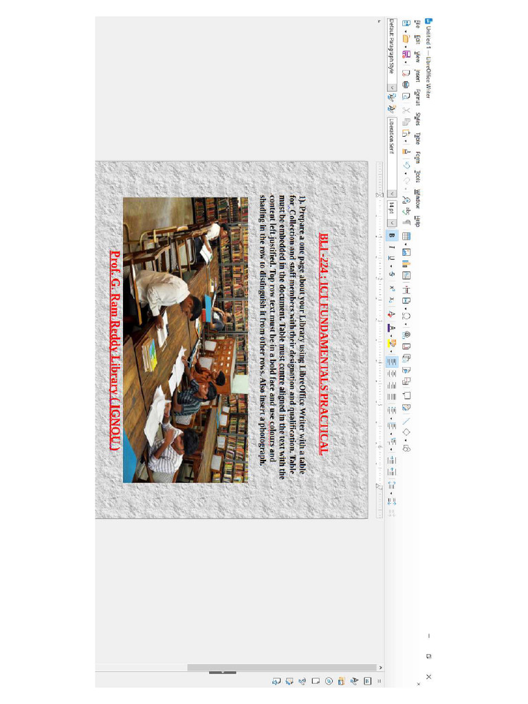 Bli 224 Practicle | PDF