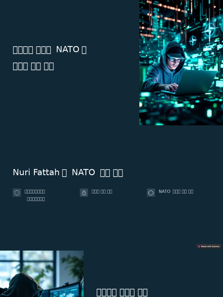 Nato | PDF
