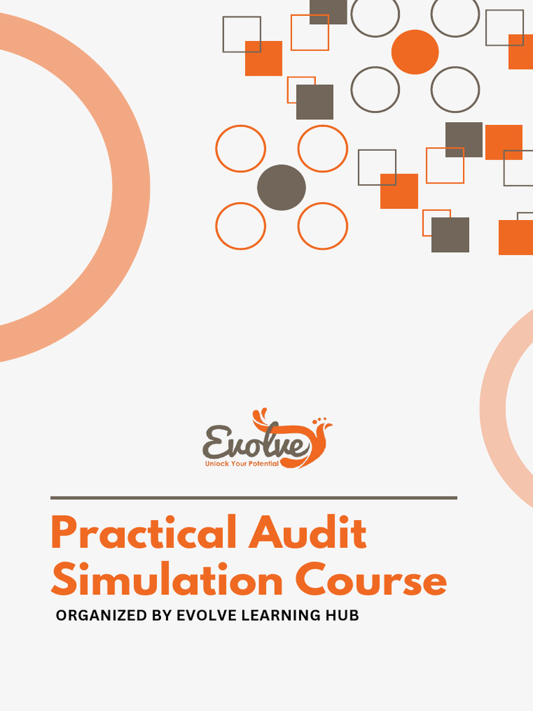 Practical Audit Simulation Brochure - 20250228 - 214910 - 0000 | PDF ...