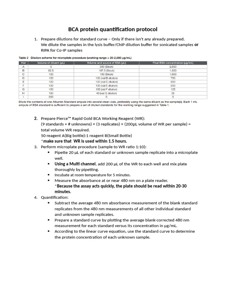 BCA Protein Quantification Protocol | PDF