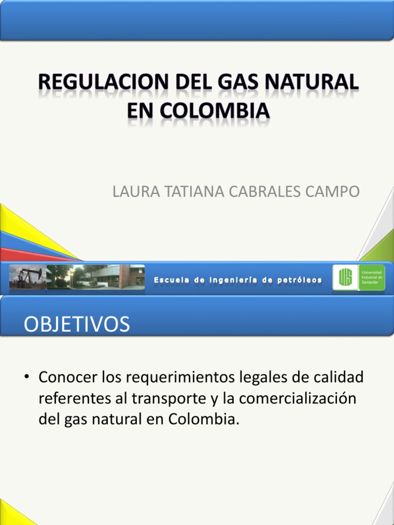 Regulacion Del Gas Natural - LTCC | PDF | Gas natural | Gases