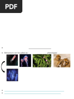 Focal Animal Sampling Methods Explained | PDF | Sampling (Statistics ...