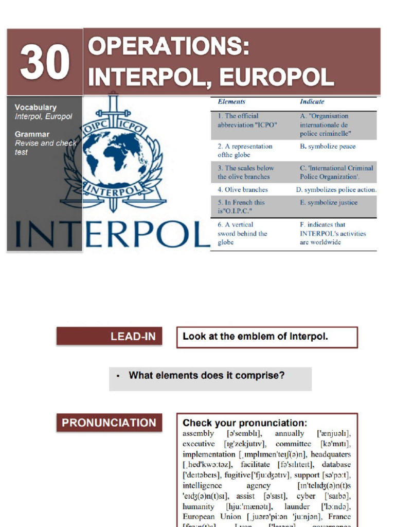 Interpol Europol | PDF