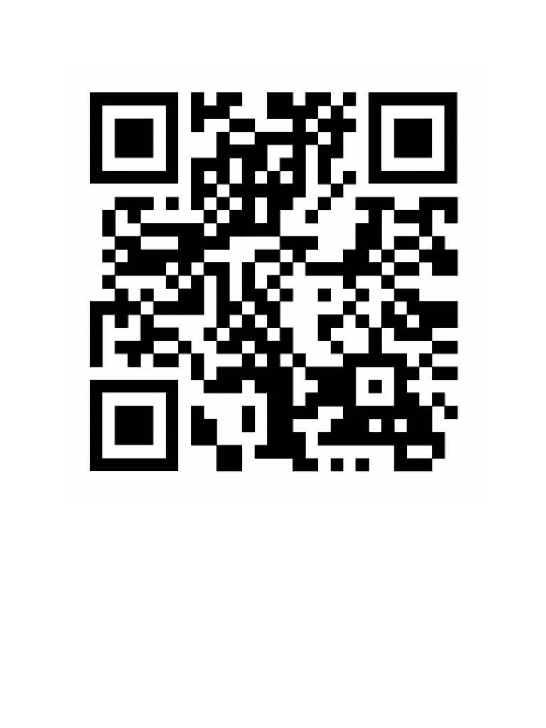 QR Codes | PDF
