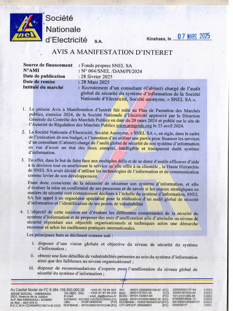 Consultant SNEL RDC | PDF