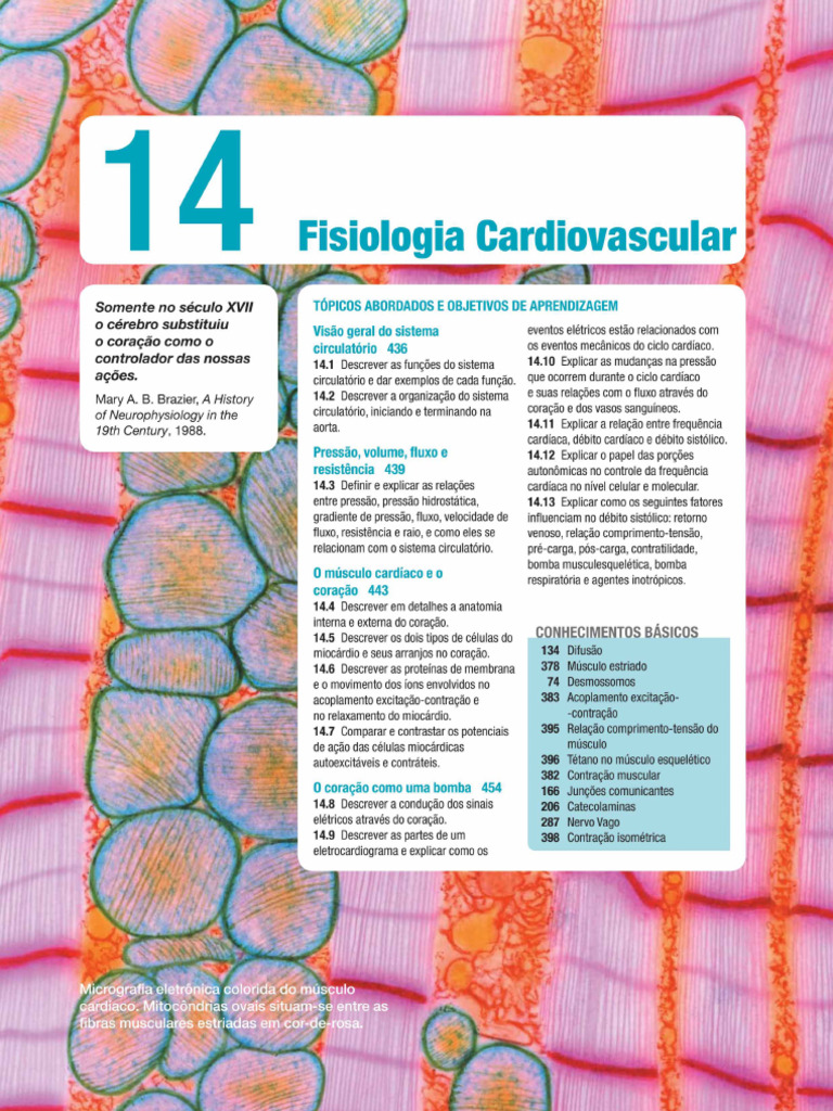 Silverthorn - Fisiologia Humana CAPITULO 14 | PDF