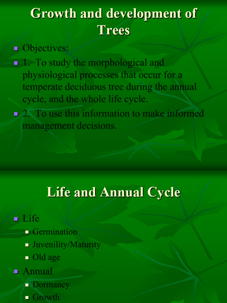 Life and Annual Cycle Trees | PDF | Trees | Leaf