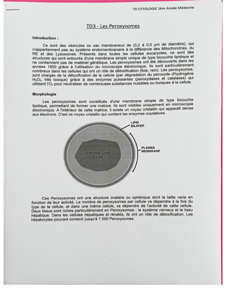 2 - Série de TD2 | PDF