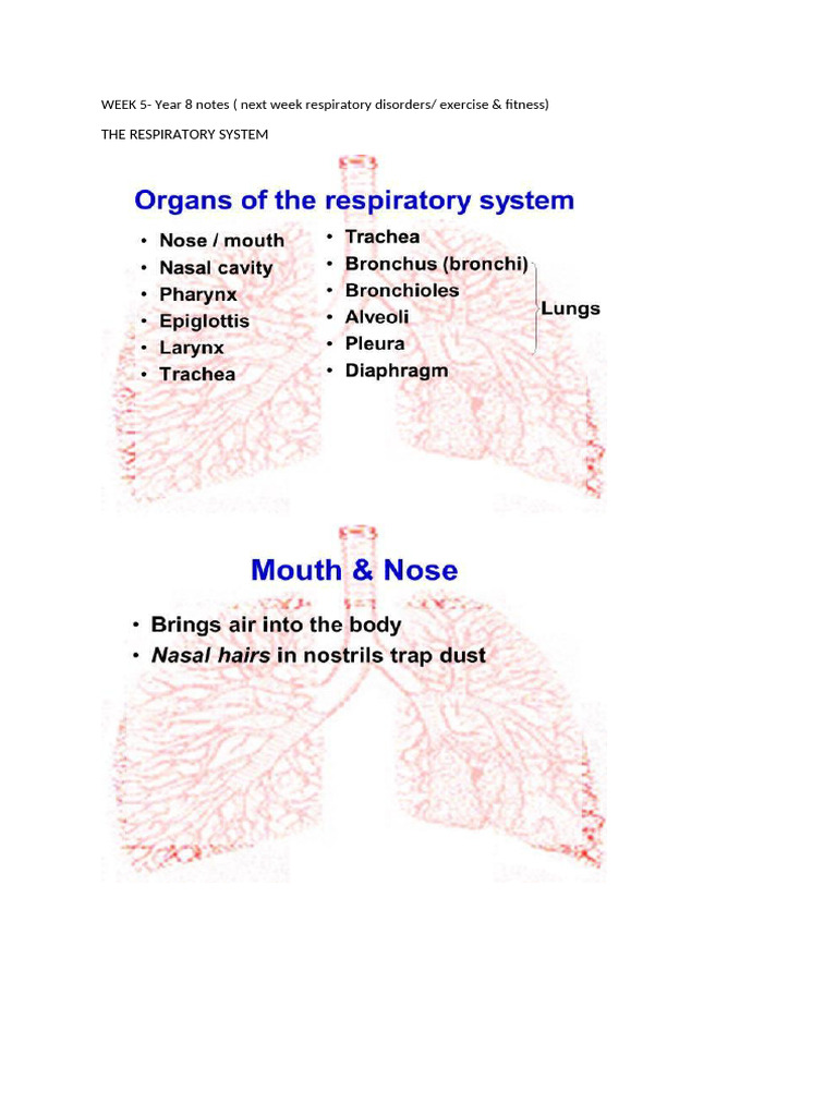 Lung Notes | PDF