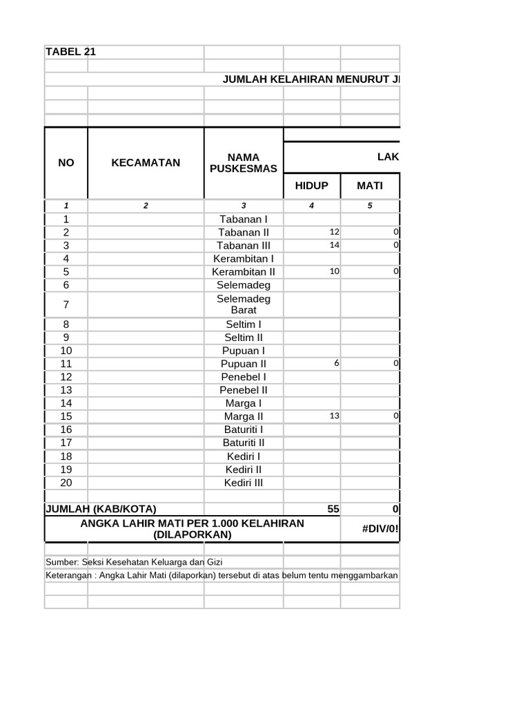 Data Lahir Mati 2024 Pusk Tabanan I | PDF