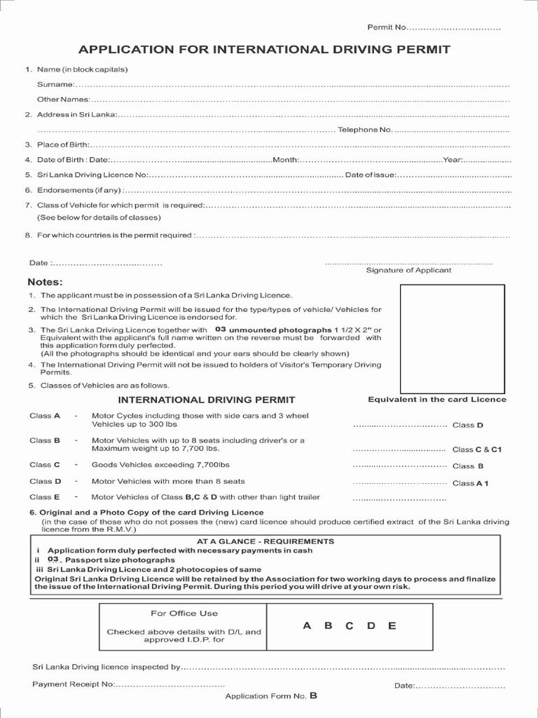 Idp Application Min2ghh | PDF