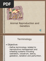 Anatomy and Physiology of Bull Reproductive System | PDF | Testicle ...