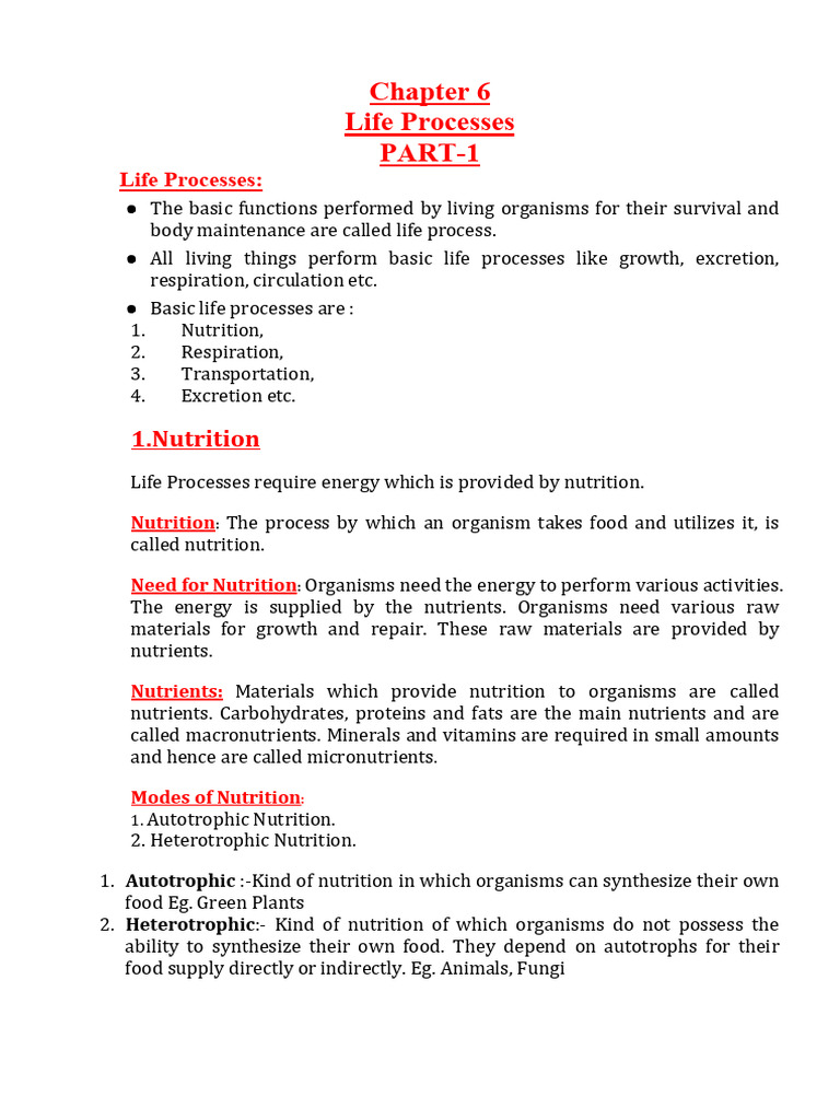 Understanding Life Processes and Nutrition | PDF | Nutrition | Diet ...