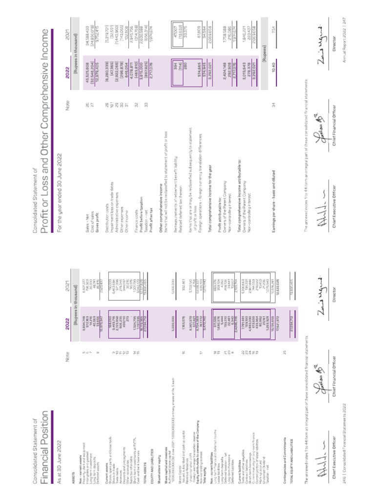 National Foods Income Statement | PDF
