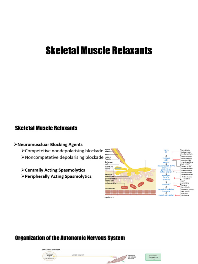 Skeletal Muscle Relaxants | PDF