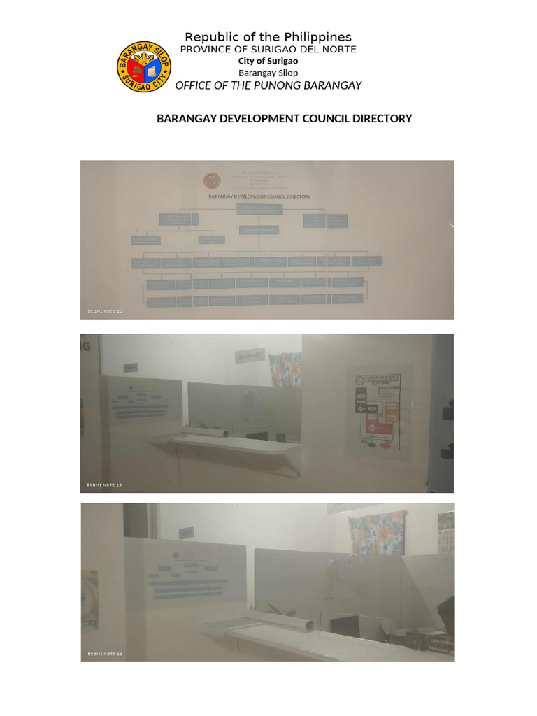 Barangay Development Council Directory | PDF