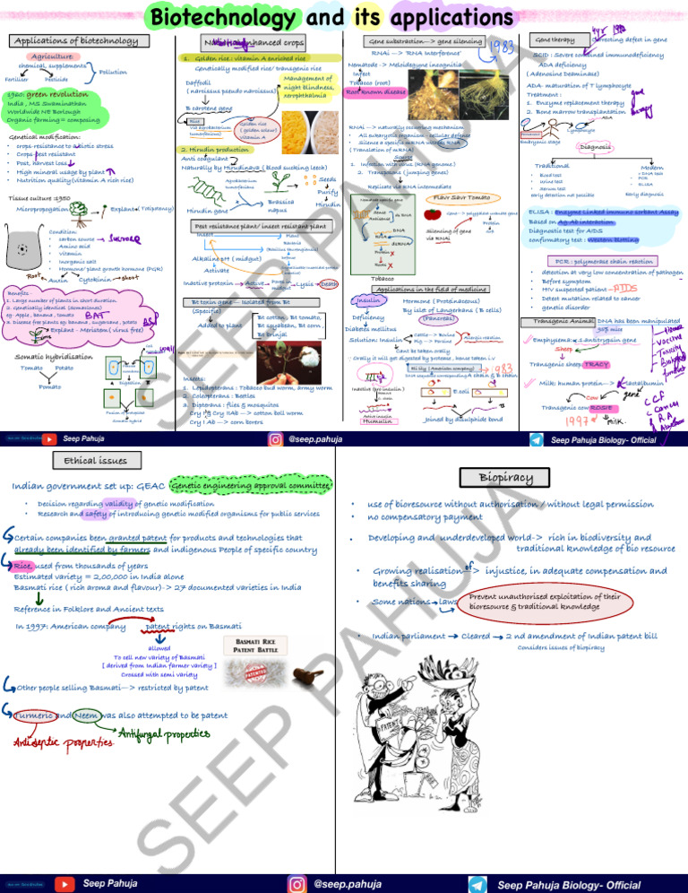 Biotechnology Applications Overview | PDF | Genetically Modified ...