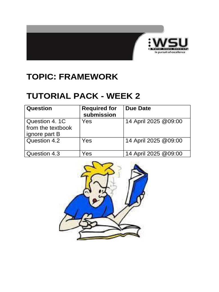 Conceptual Framework - Tutorials - Week 2 - 2025 | PDF