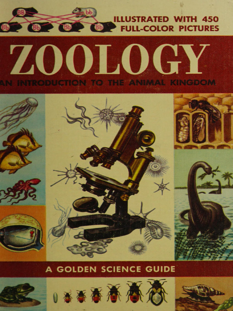 Zoology | PDF