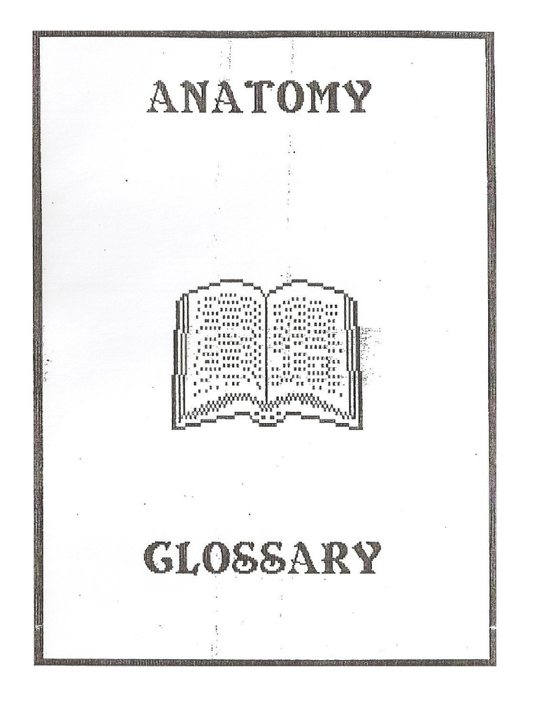 Anatomy Glossary | PDF