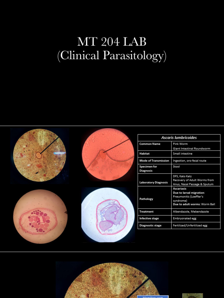 ClinParaLab MT204 Parasitic Organisms | PDF | Parasitology | Animals And Humans
