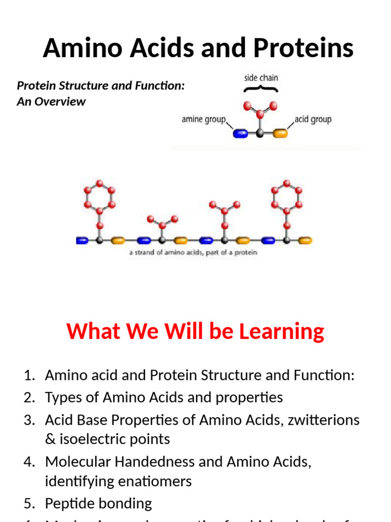 Amino Acid and Protiens | PDF | Protein Structure | Amino Acid
