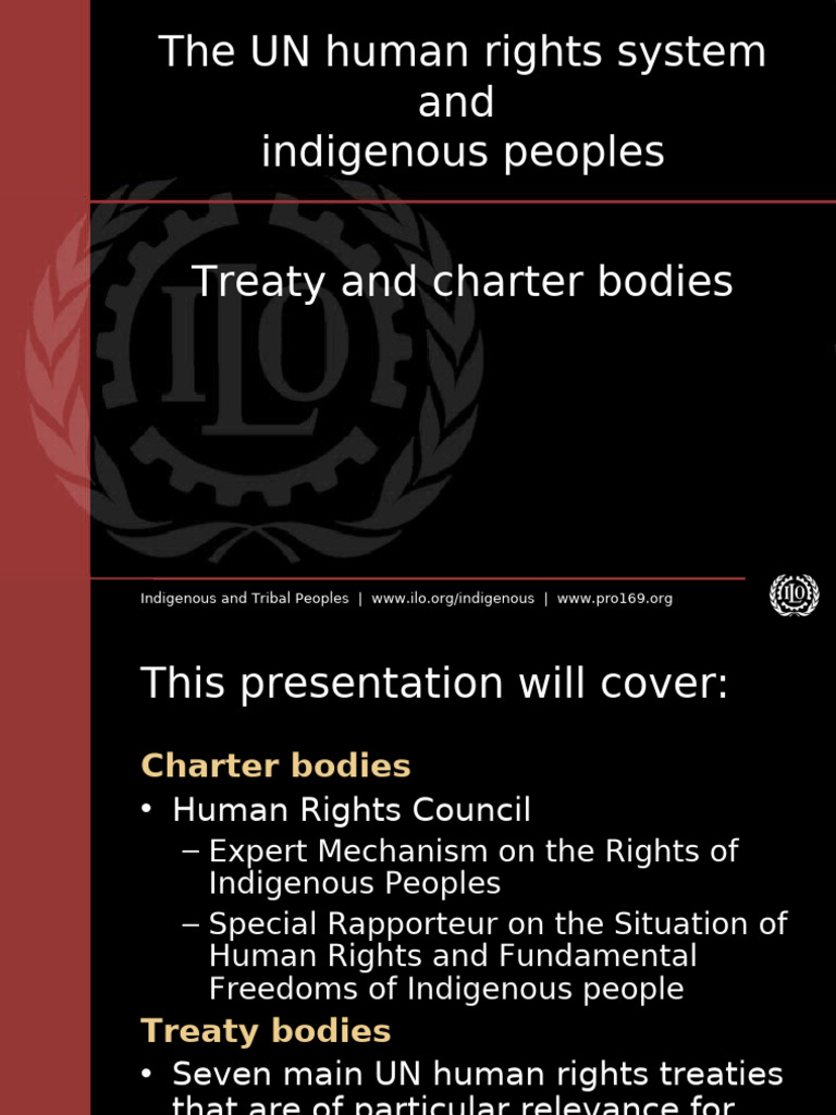 The UN Human Rights System and Indigenous Peoples | PDF | Human Rights ...
