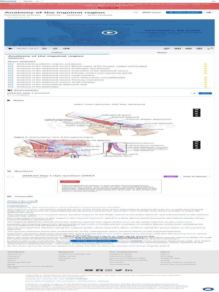 Anatomy of The Inguinal Region Video, Causes, & Meaning Osmosis | PDF ...