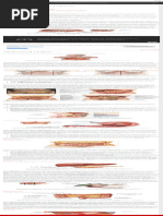 Human Digestive System - Diagram, Full Process (with Flow chart) | PDF ...