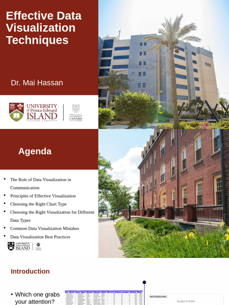 Effective Data Visualization Techniques | PDF | Histogram | Chart