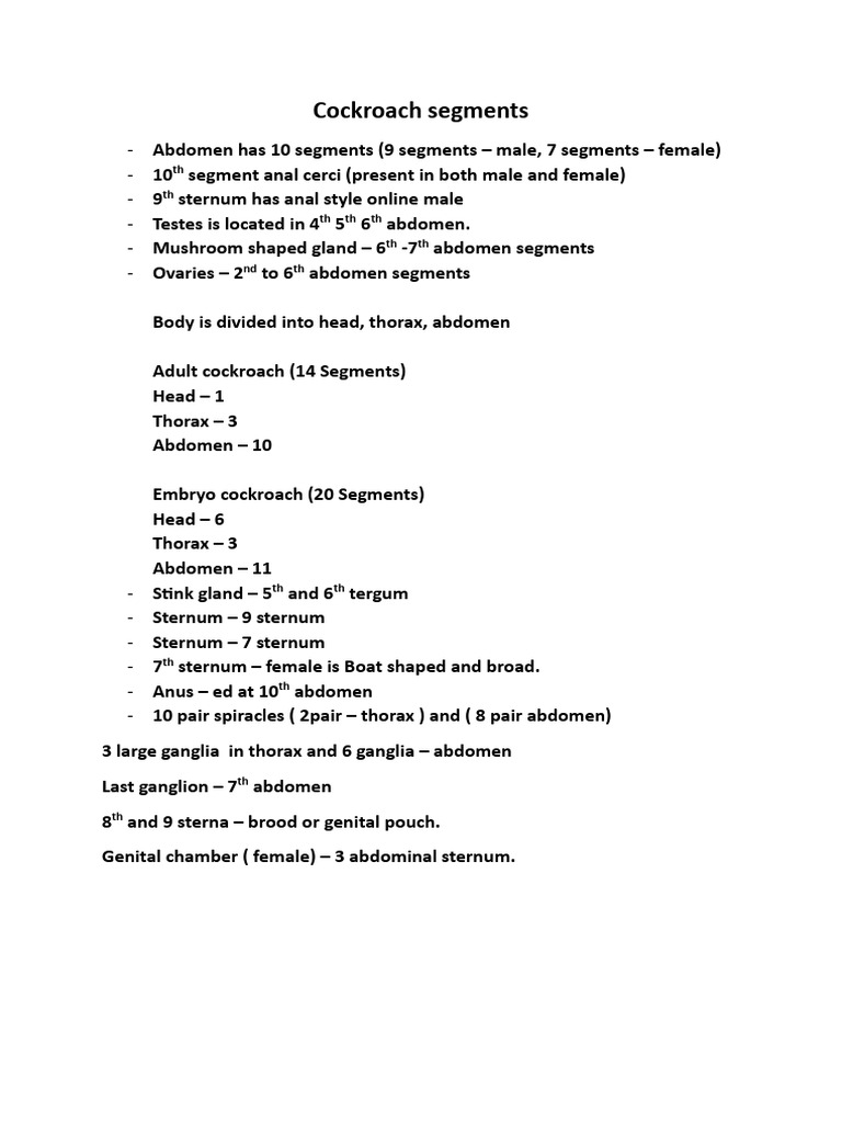 Cockroach Segments | PDF