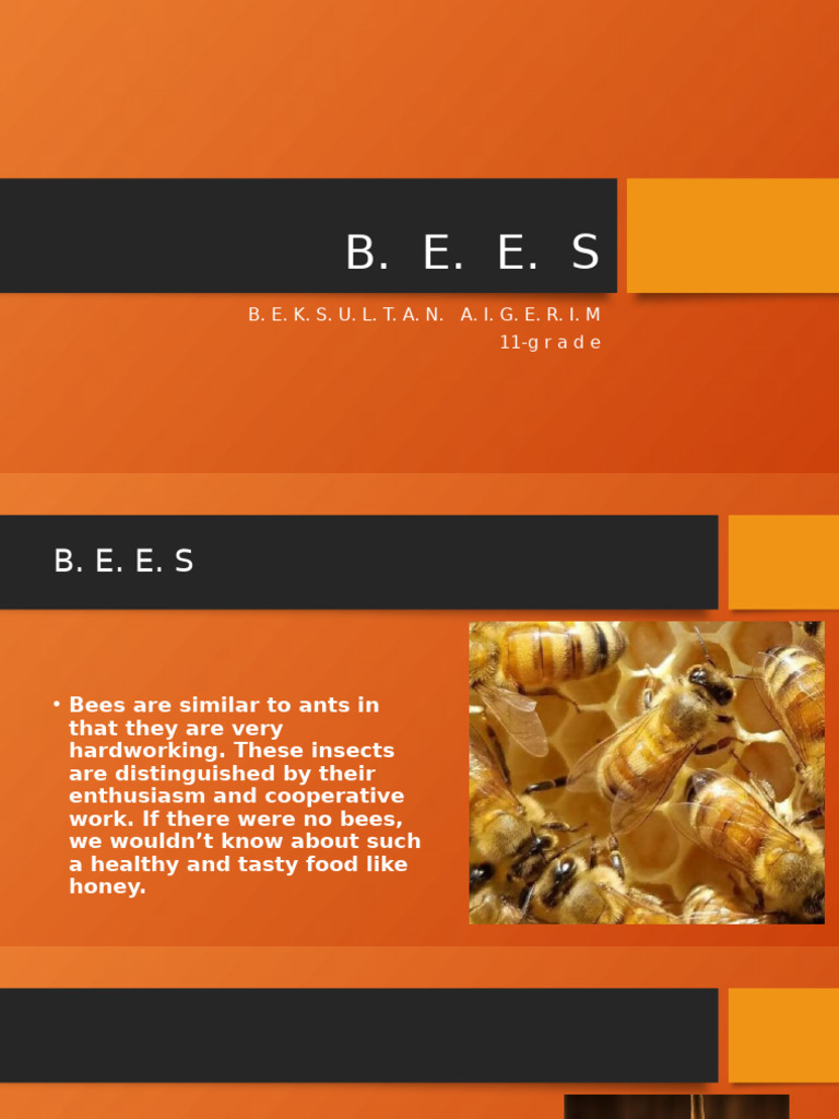 Bees | PDF
