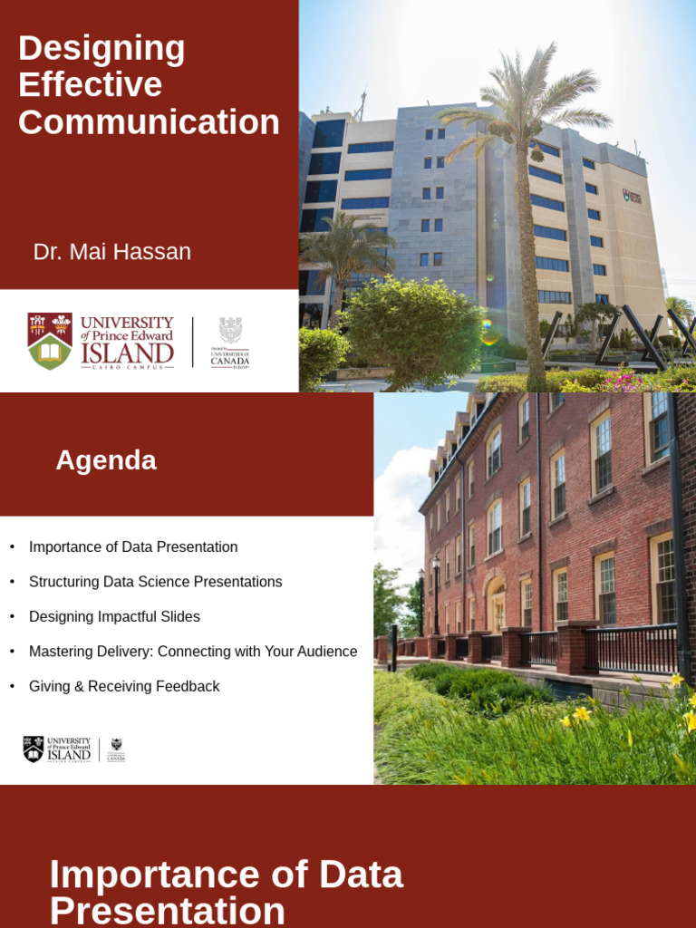 MCS 4210 - Designing Effective Communication | PDF | Typefaces | Data