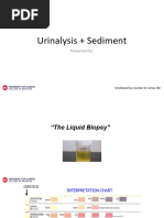 Urine Casts: Types and Reporting | PDF | Clinical Medicine | Kidney