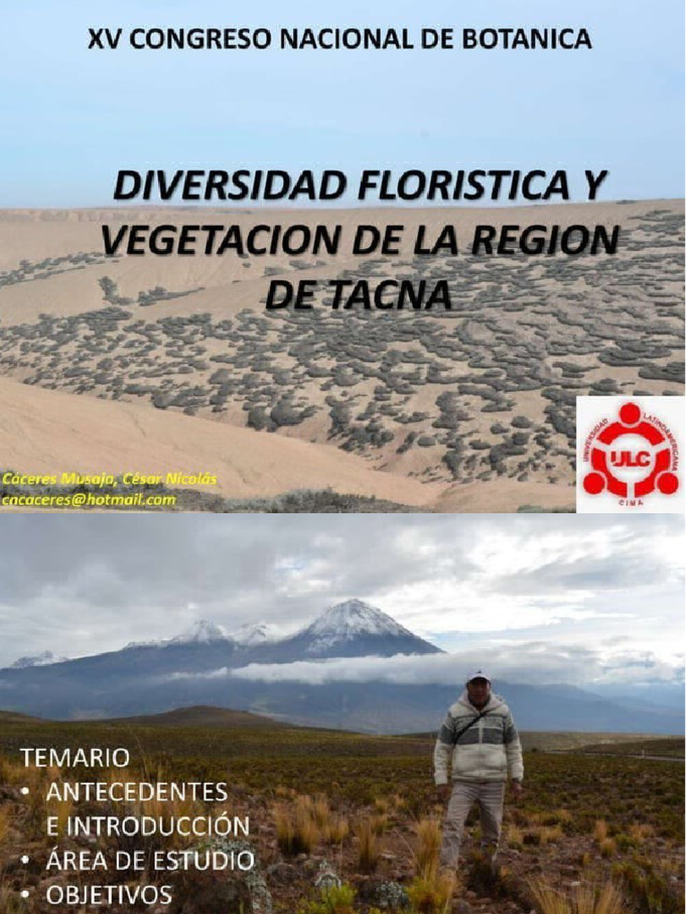 Diversidad Floristica y Vegetacin de La Regin de Tacna 63685648 | PDF