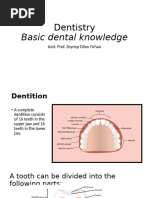Dental Terminology and Definitions Guide | PDF | Periodontology | Tooth