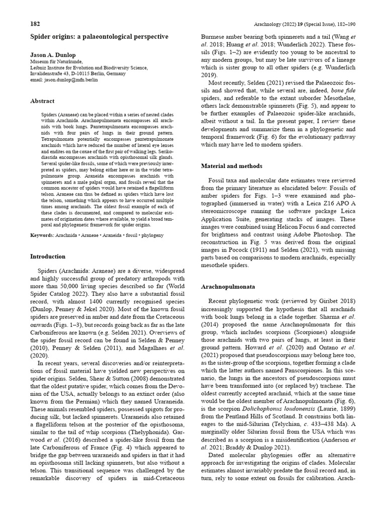 Palaeontological Insights on Spider Origins | PDF | Spider