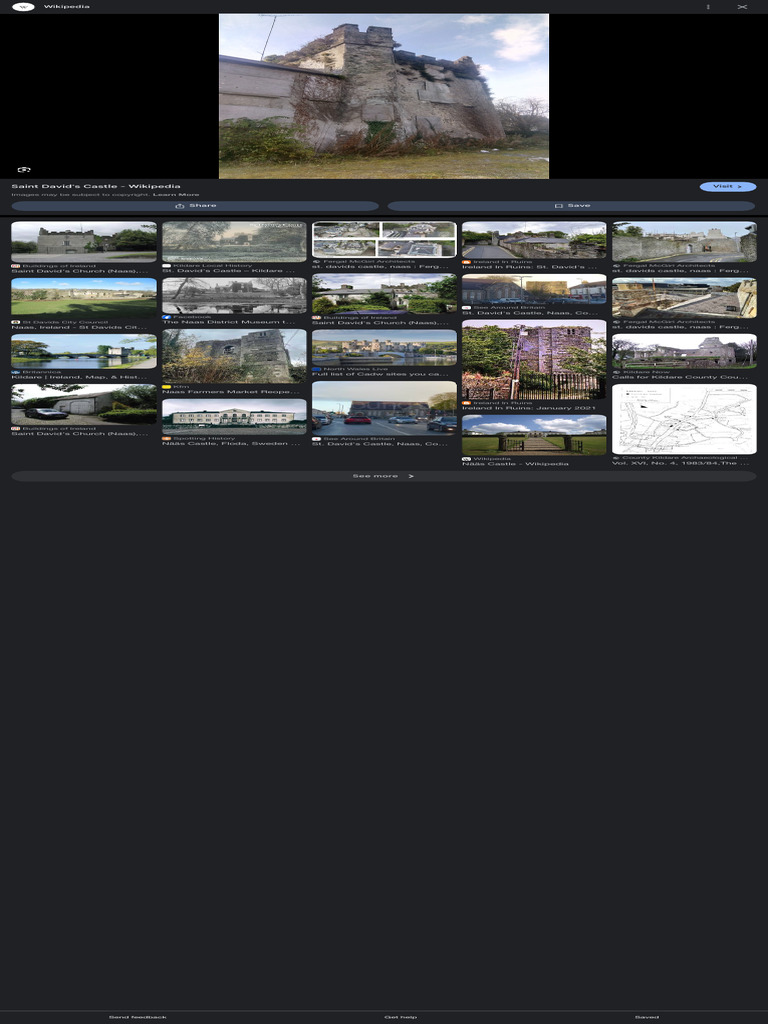 Naas Castle - Google Search | PDF