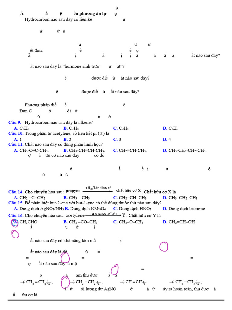 Ôn Tập Hkii - LTT | PDF