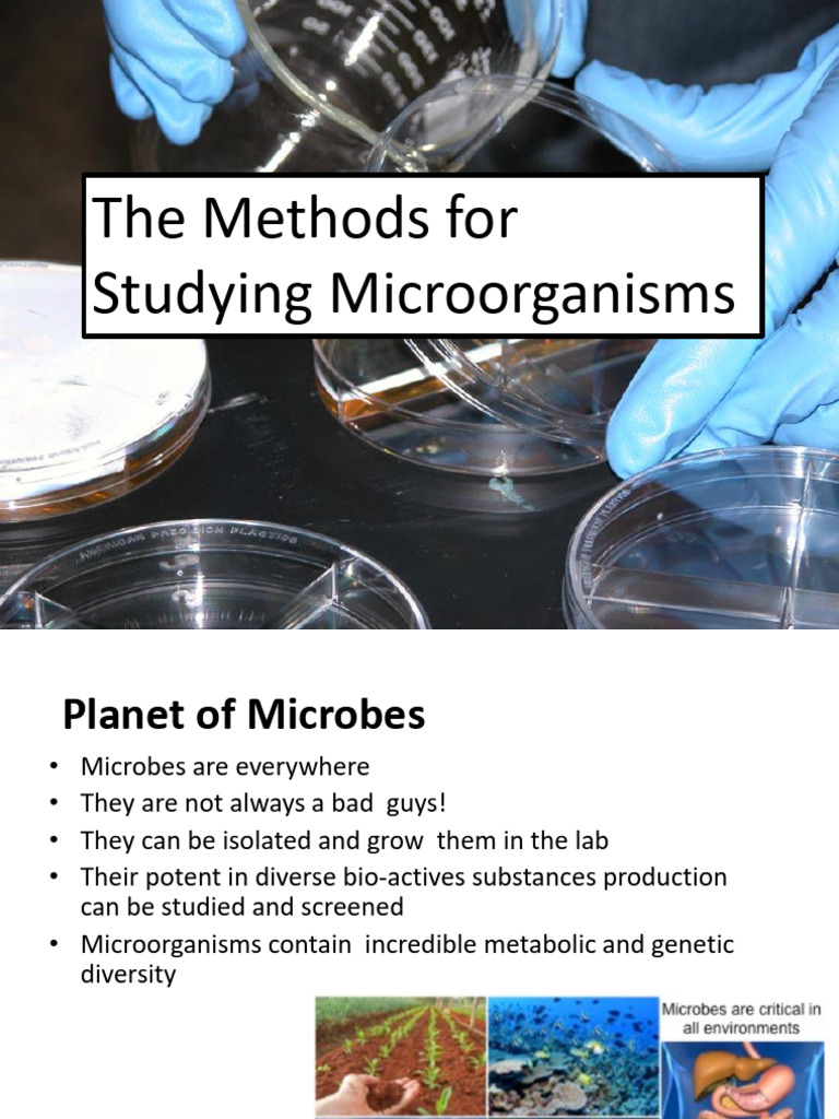 5 6. Methods in Microbiology The 5 I | PDF
